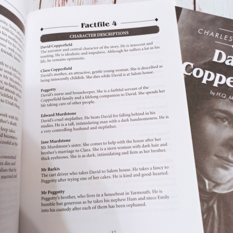 David Copperfield Zestaw Book+ Activities, Teacher's Book, Glossary ...
